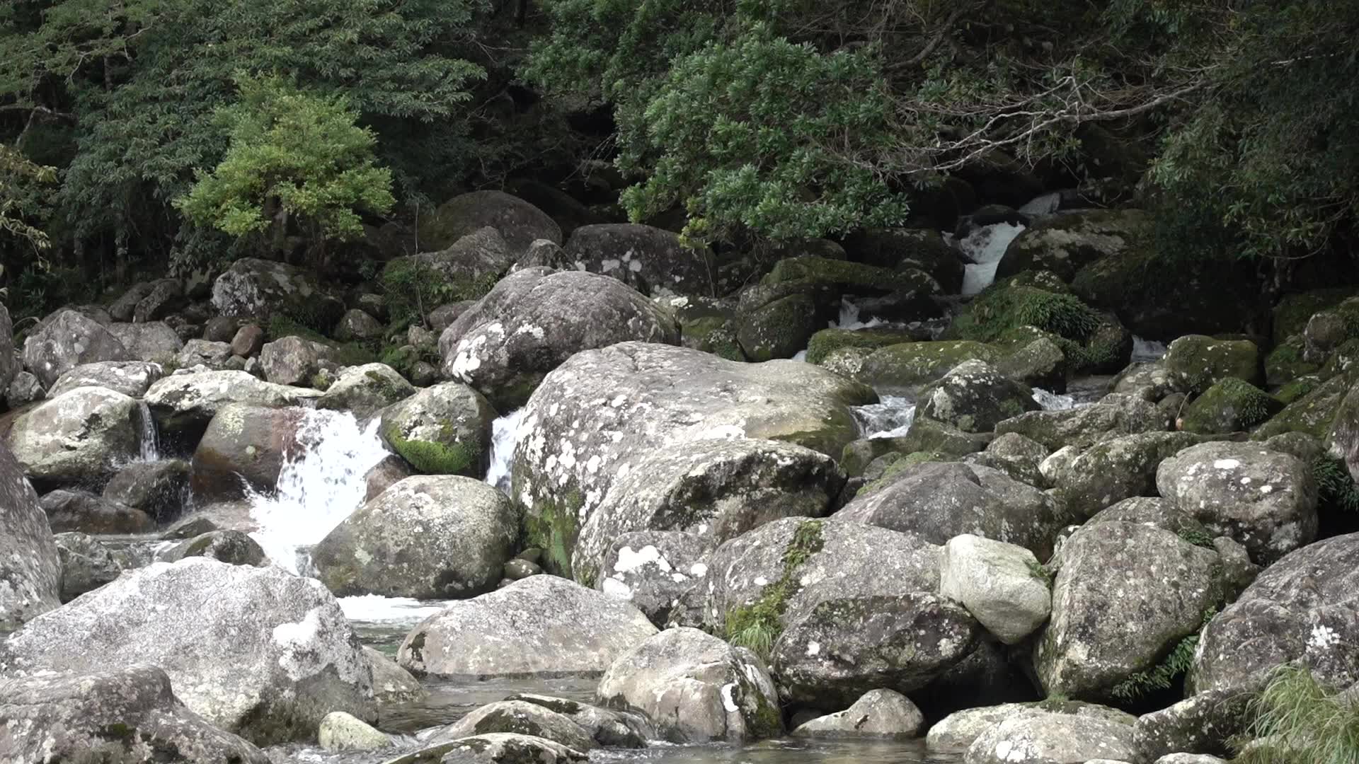 nagata river - Four Days in Yakushima Japan